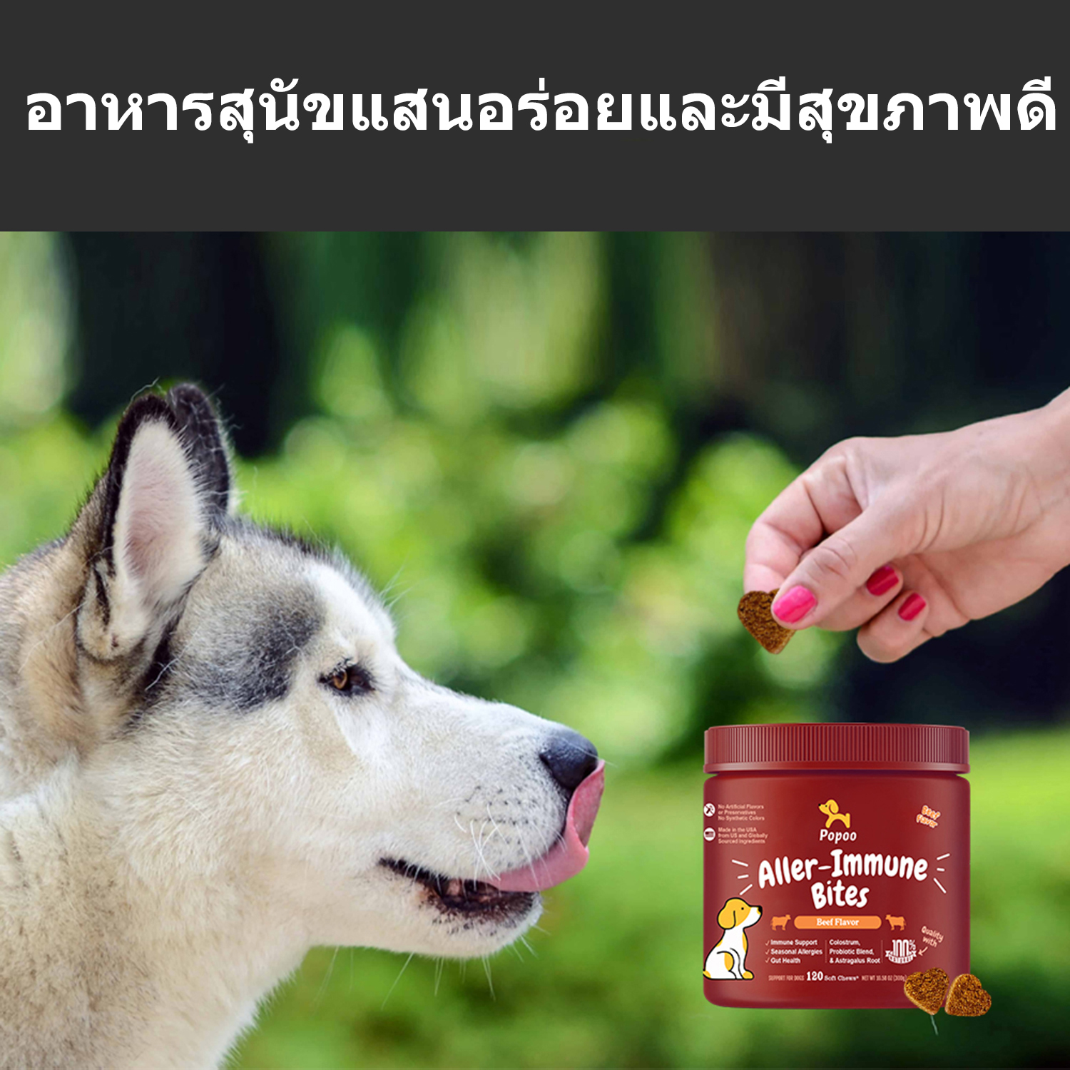 Popoo แพ็คสุดคุ้ม 2สูตร โปรไบโอติกสำหรับสุนัข และ Aller-Immune for Dogs ...