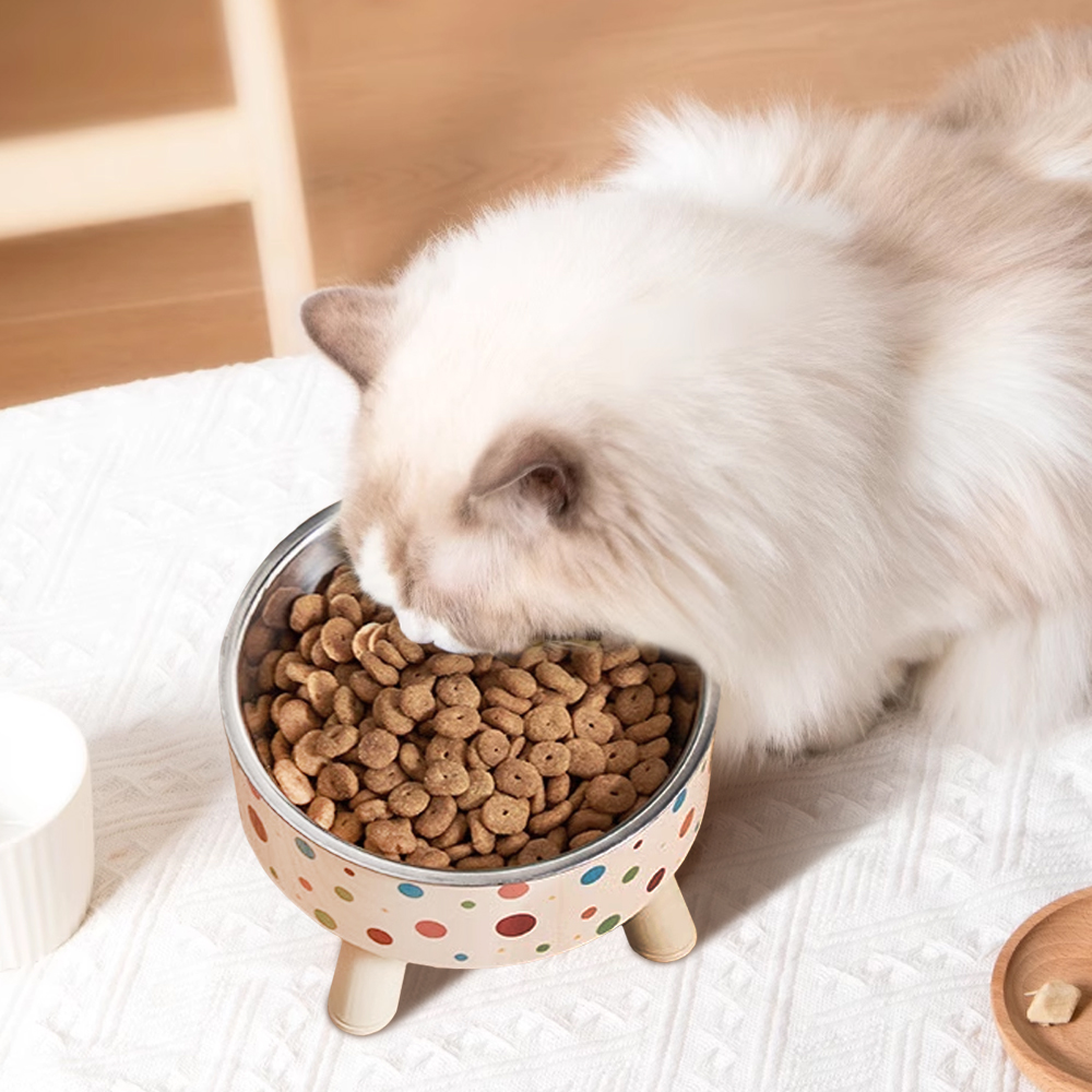 PetStern ชามอาหารแมว ชามสแตนเลส 2ชั้น มีชามส ทรงยกสูง ทําความสะอาดง่าย มีขอบยางกันลื่น ชามใส่ ...