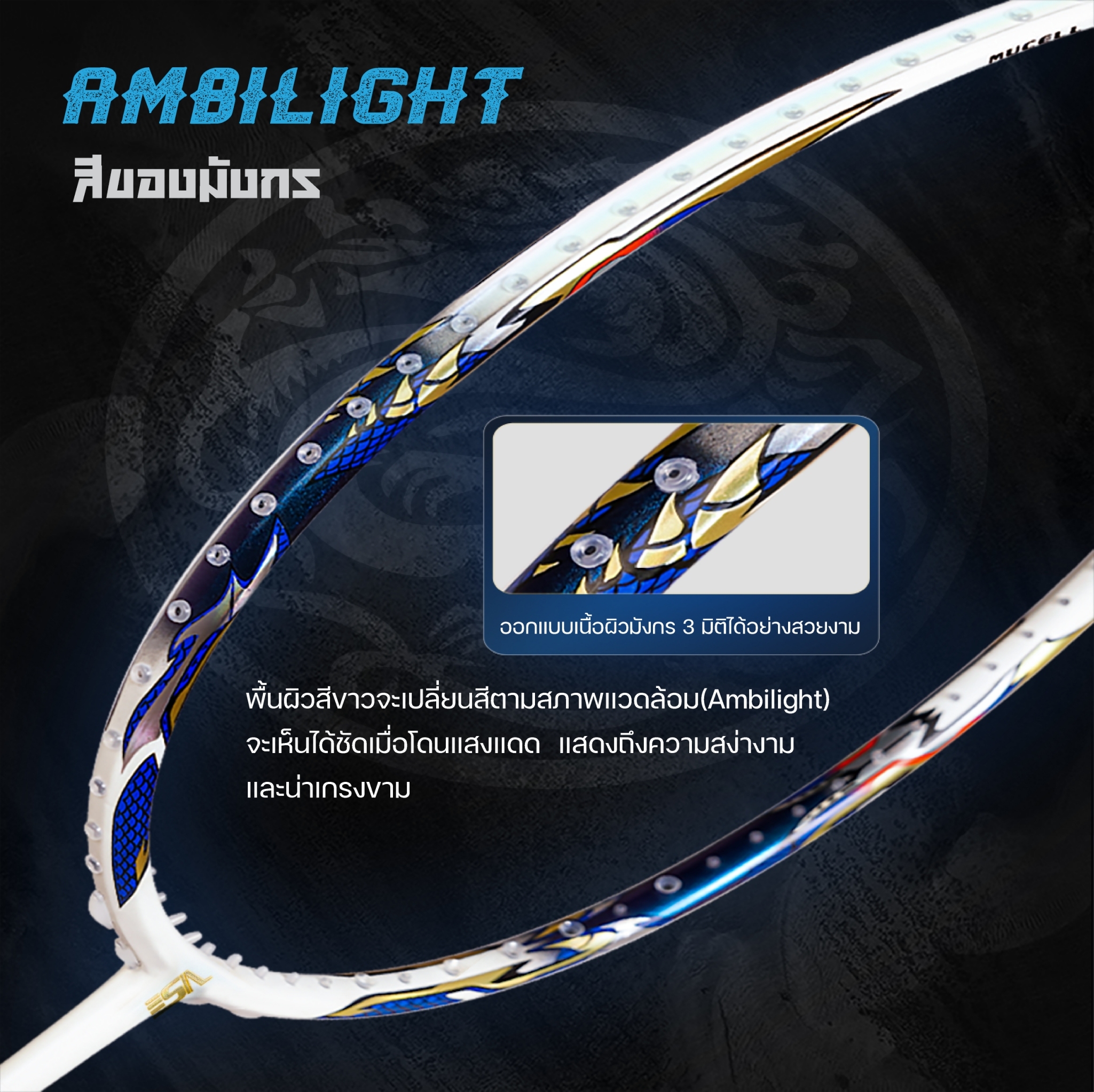 ไม้แบดมินตันVS รุ่น Panlong แถมเอ็น+กริป+ซอง | Shopee Thailand