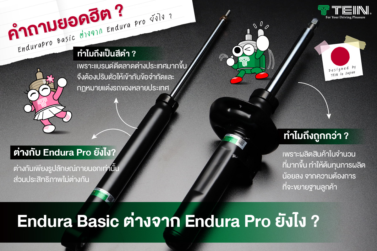 TEIN โช้คอัพ หน้า-หลัง JAZZ GE 2008-2013 / รุ่น ENDURAPRO BASIC | Shopee Thailand