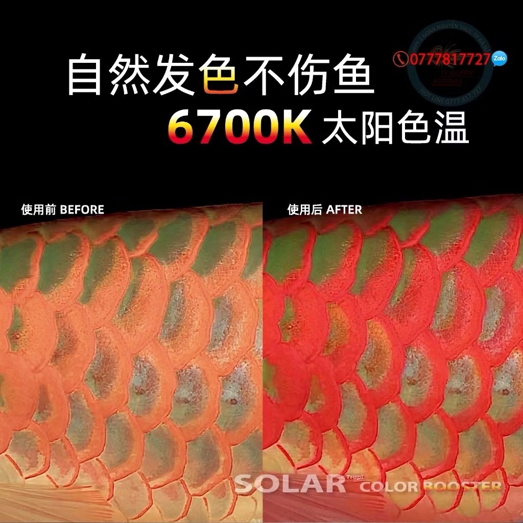 หลอดไฟ SOLAR Color Booster ของแท้💯 ไฟเทรนนิ่งปลา | Shopee Thailand
