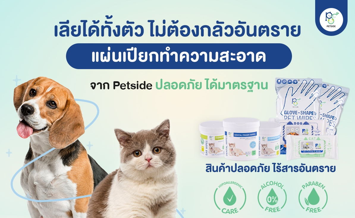 Petside Eye Wipes แผ่นเปียกเช็ดรอบดวงตา เช็ดคราบน้ำตา สุนัข และ แมว 100 ...