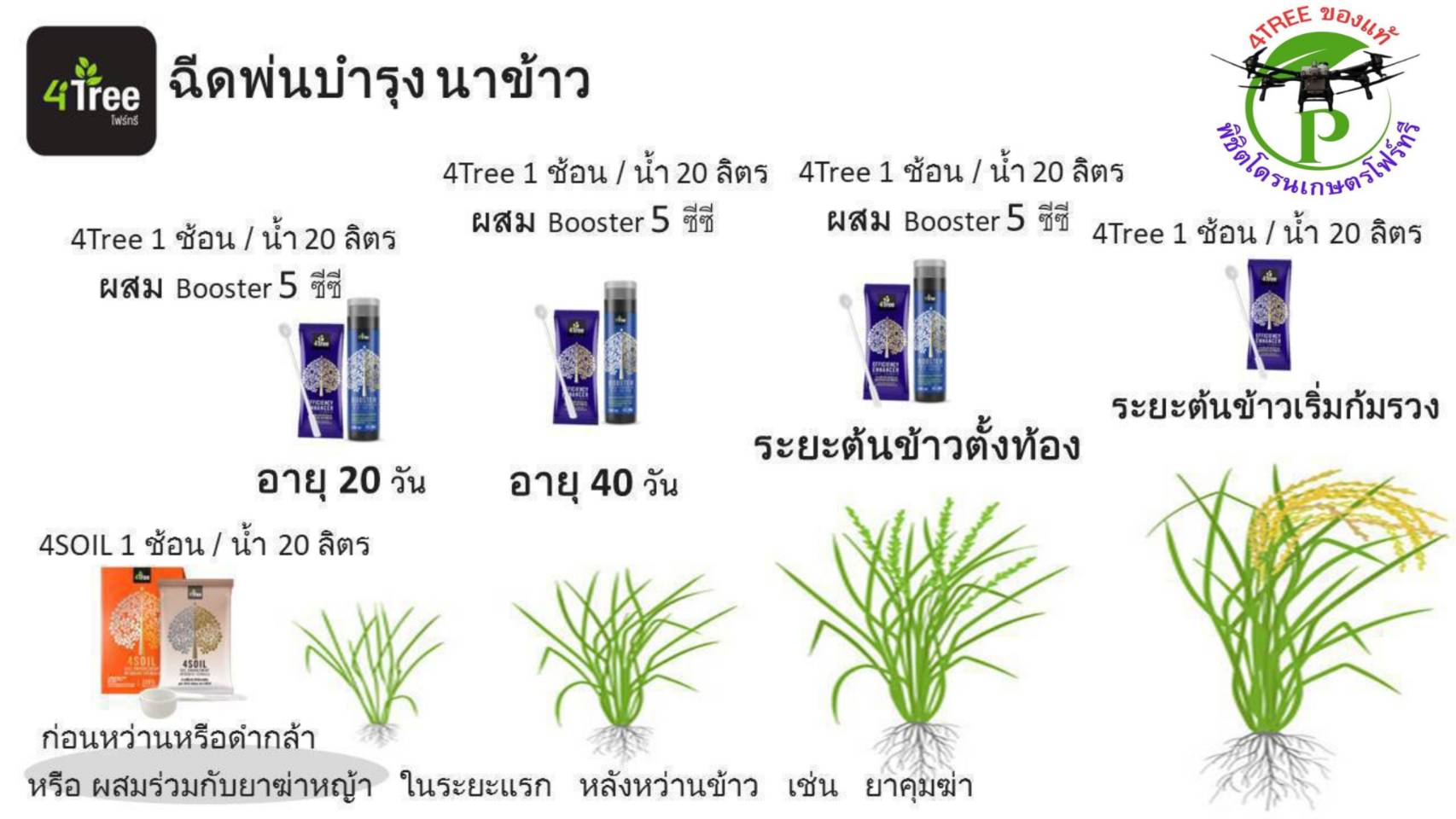 4Tree โฟร์ ทรี1กล่อง(10ซอง)ใช้ได้ 200 ไร่ สารเสริมประสิทธิภาพ พืชโตเร็วใช้ได้กับพืชทุกชนิด จาก ...