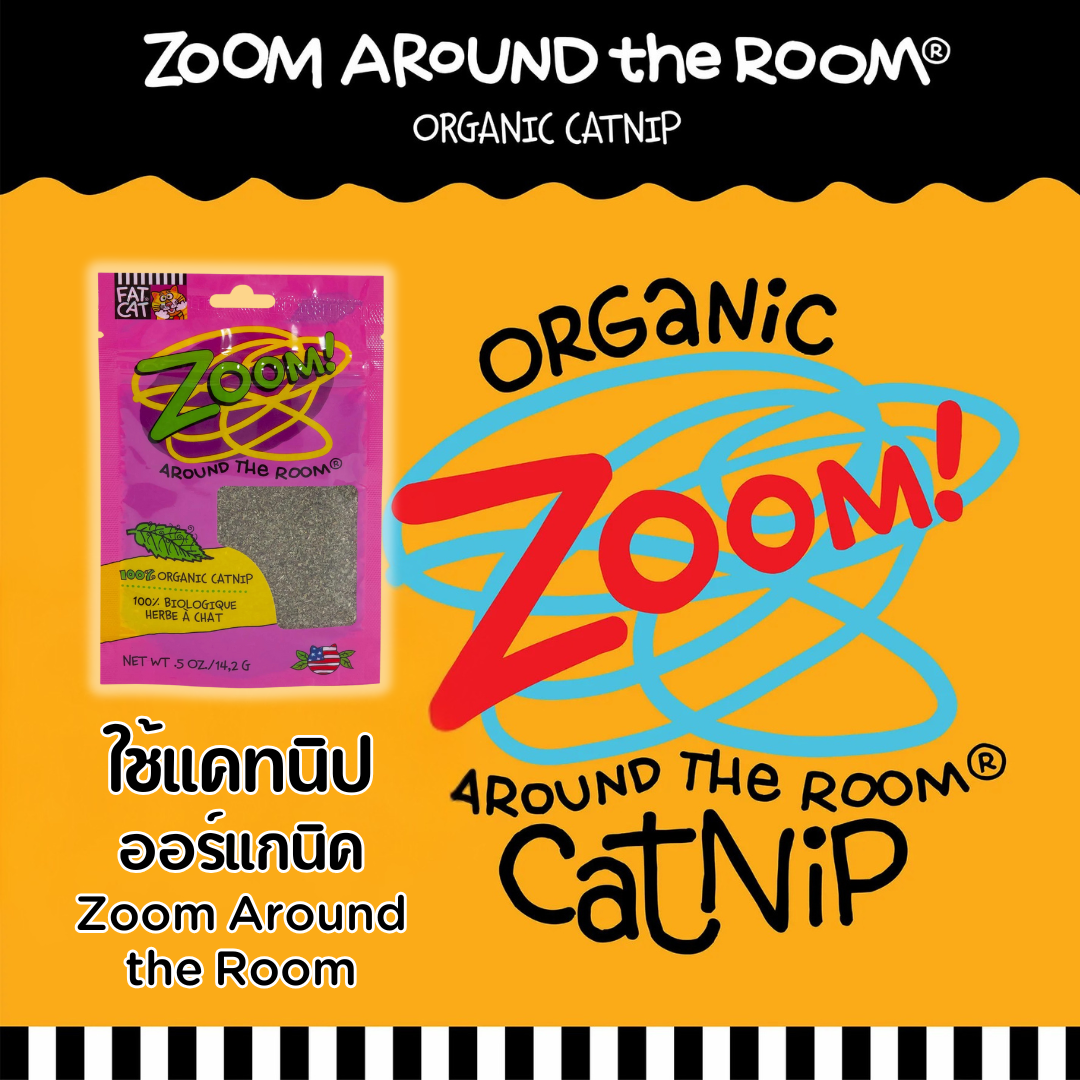 FAT CAT Appeteasers ตุ๊กตาสอดไส้กัญชาแมวออร์แกนิครูปหนู สำหรับแมวเขี่ย ...