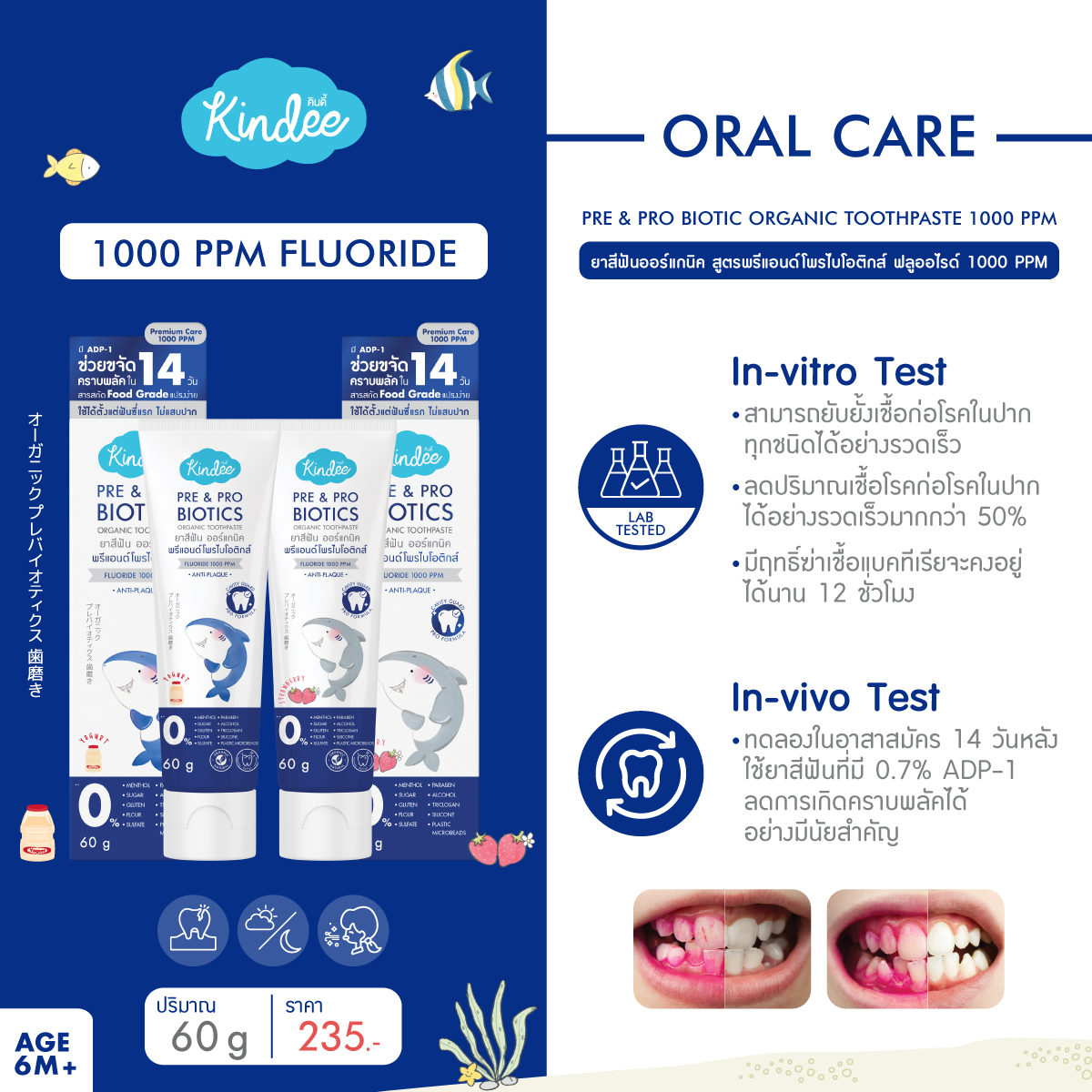 Kindee คินดี้ แปรงสีฟัน ยาสีฟันออร์แกนิค สูตรพรีแอนด์โพรไบโอติกส์ มีฟลูออไรด์ (60 กรัม) | Shopee ...