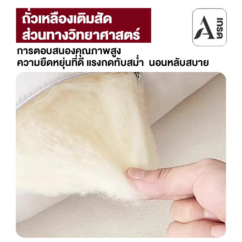 ท็อปเปอร์ ที่นอน รัดสี่มุมแบบยืดหยุ่น Topper กันไรฝุ่น ท็อปเปอร์ใยหนา ...