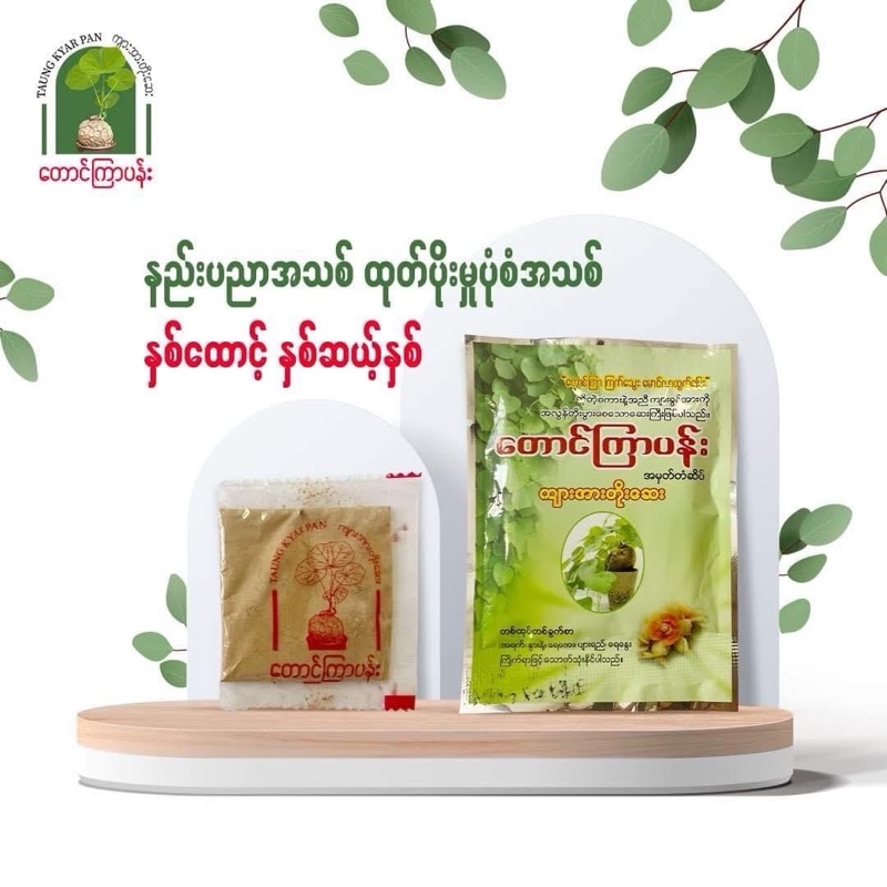 Taung Kyar Pan (10 Pc) Taung Kyar Pan Snacks | Shopee Thailand