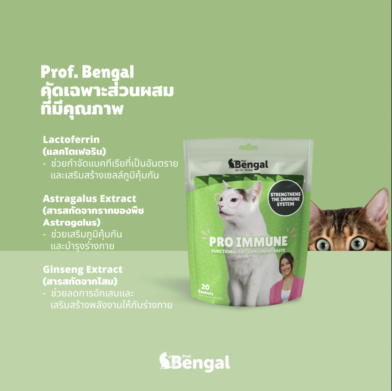 Prof. Bengal Pro Immune Cat Paste ขนมแมวเลียสูตรภูมิคุ้มกัน 200 กรัม ...