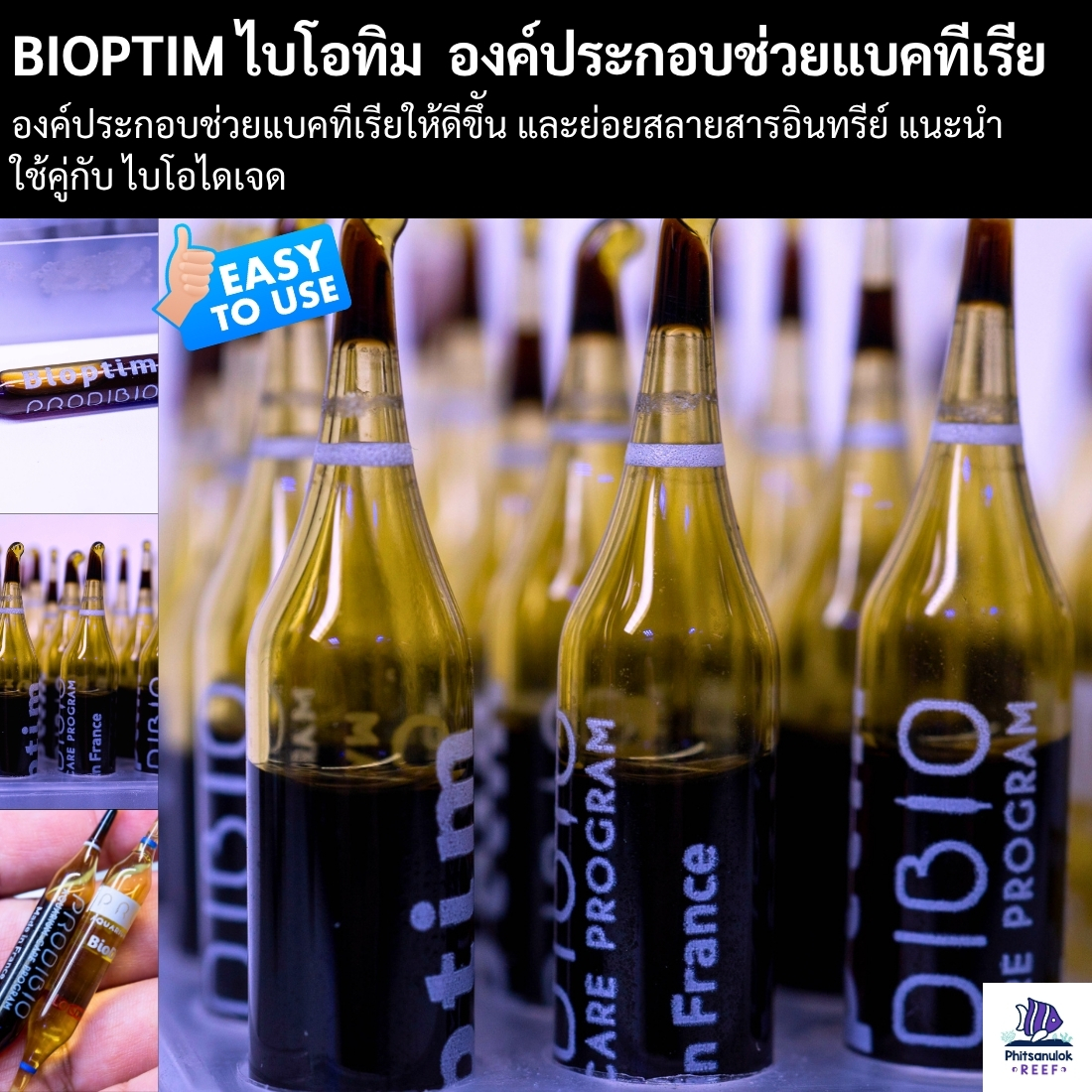 (Bioptim) ไบโอทิม แบคทีเรีย ชนิดหลอด ใช้ได้ทั้งตู้ปลาทะเลและตู้ปลาน้ำ ...