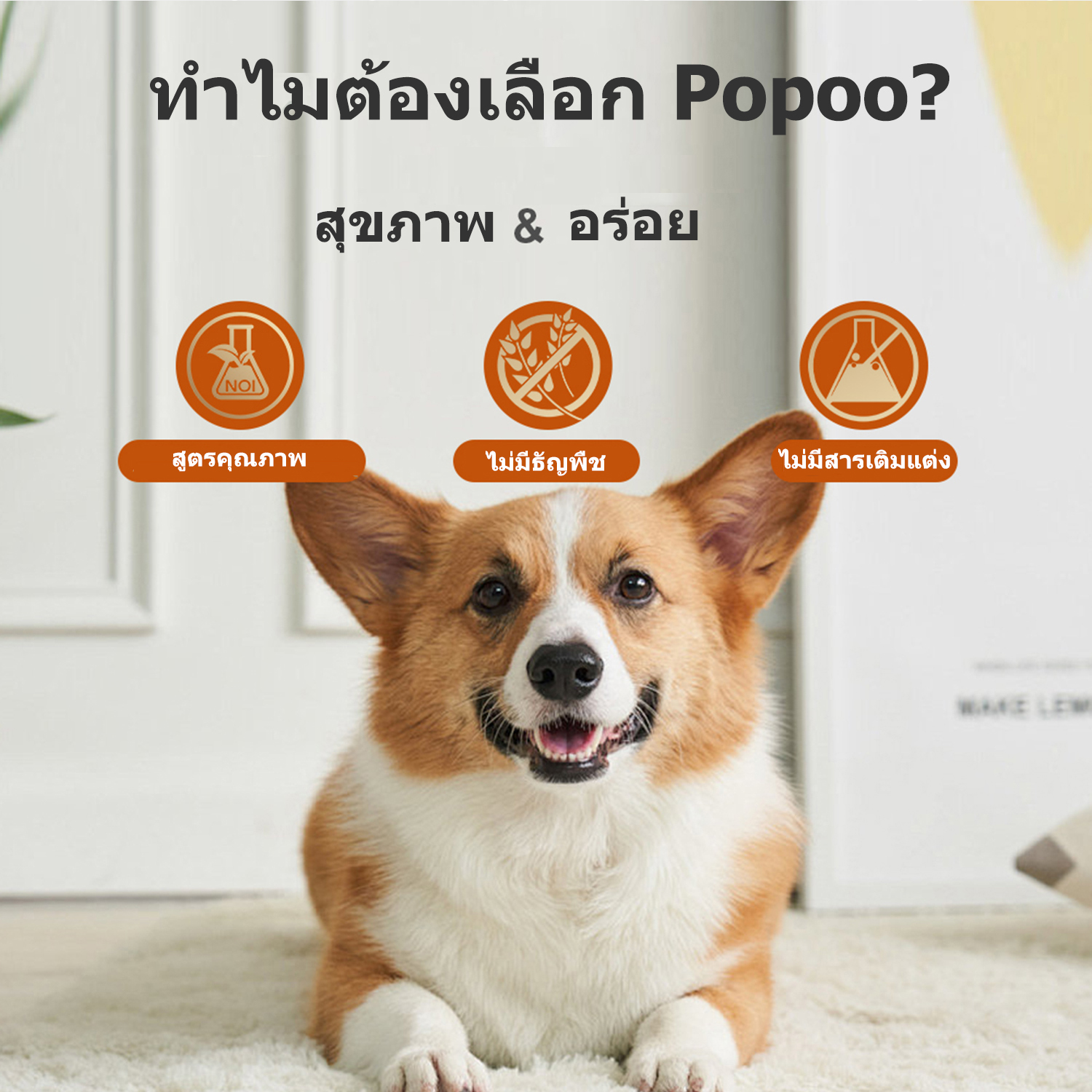 Popoo Multivitamins for Dogs Treats ขนมสุนัข อาหารสุนัข วิตามิน บำรุง ...