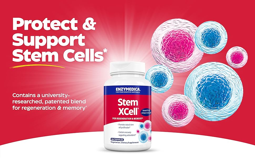 Enzymedica Stem XCell - 60 Capsules ⭐⚡กระตุ้นการสร้างเซลล์ใหม่และบำรุง ...