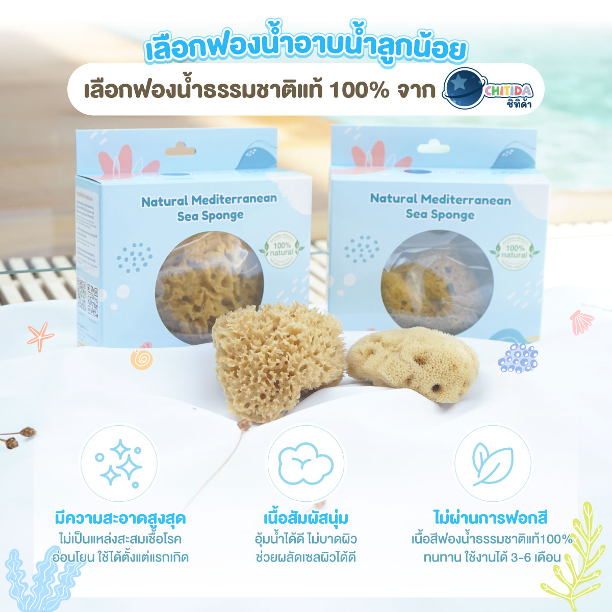 Chitida ฟองน้ำธรรมชาติแท้ 100% สีธรรมชาติ ฟองน้ำอาบน้ำเด็ก นุ่มมาก รุ่น ...