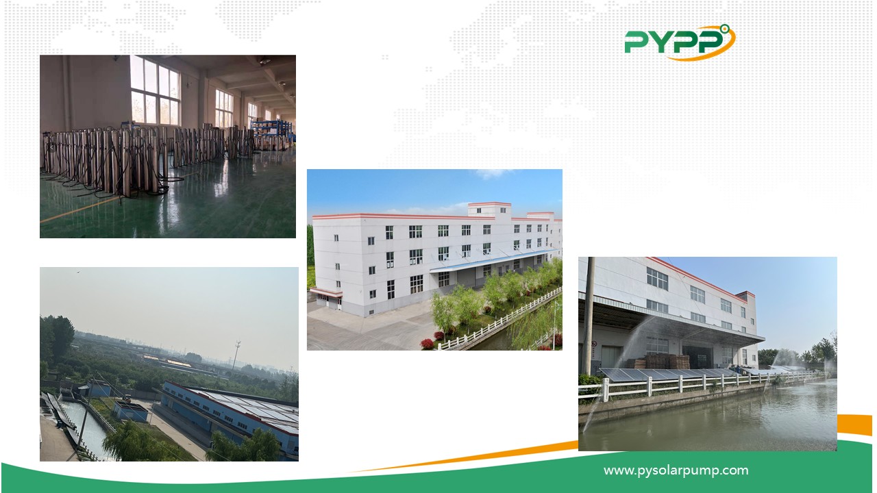 ปั๊มซับเมอร์สโซลาร์เซลล์ PYPP รุ่น A/D 3SPW1-11P (88m-3.6m3/h-440Voc ...