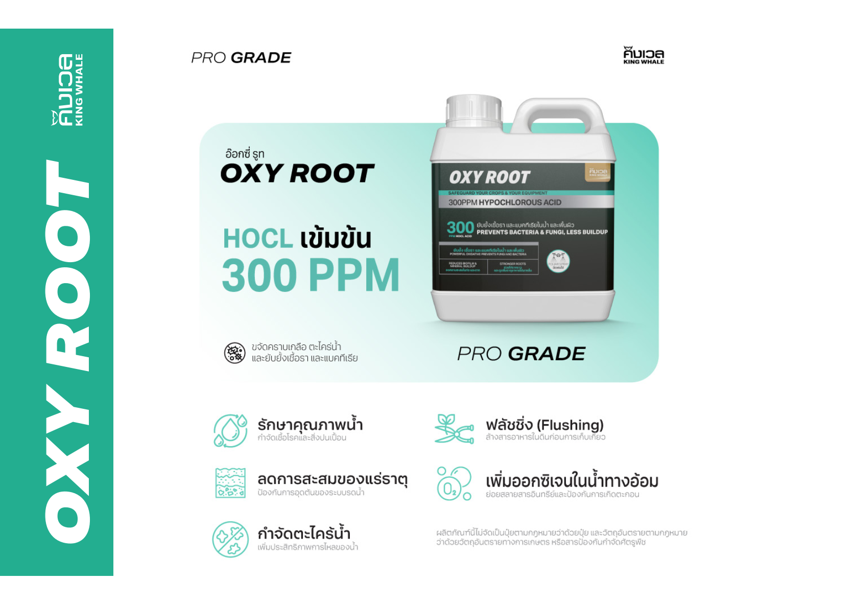 King Whale อ๊อกซี่ รูท (Oxy Root) เป็นกรดไฮโปรคอรัส ช่วยย่อยสลายสิ่ง ...