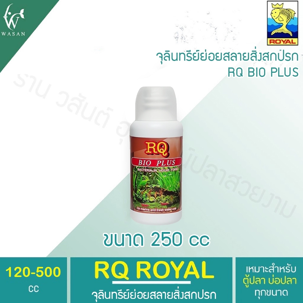 RQ BIO PLUS (แบคทีเรียย่อยสลายของเสีย เศษอาหารตกค้าง ทำให้น้ำใสสะอาด) | Shopee Thailand