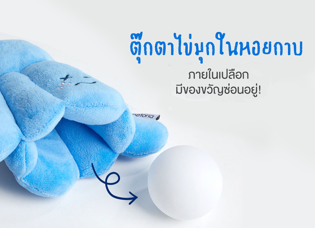 Petoria (เพ็ทโทเรีย) ของเล่นสุนัข เซ็ทตุ๊กตาไข่มุกในหอย ช่วยฝึกทักษะการ ...