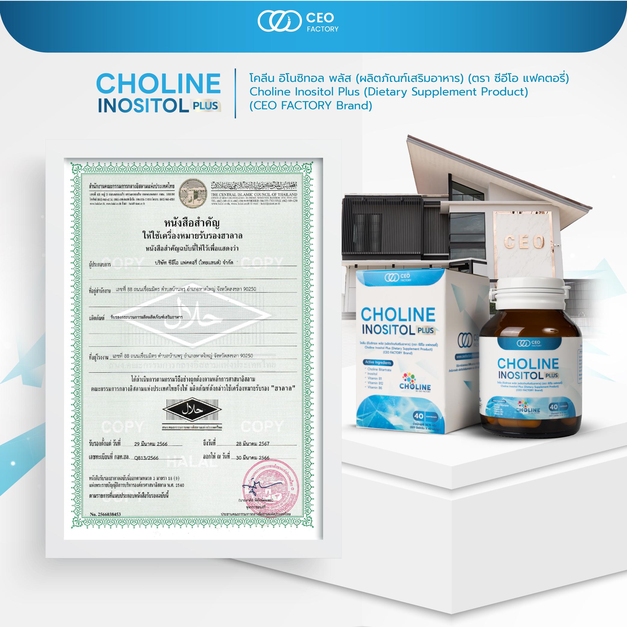 Choline Inositol Plus โคลีน อิโนซิทอล พลัส (CEOFactoryBrand) | Shopee ...
