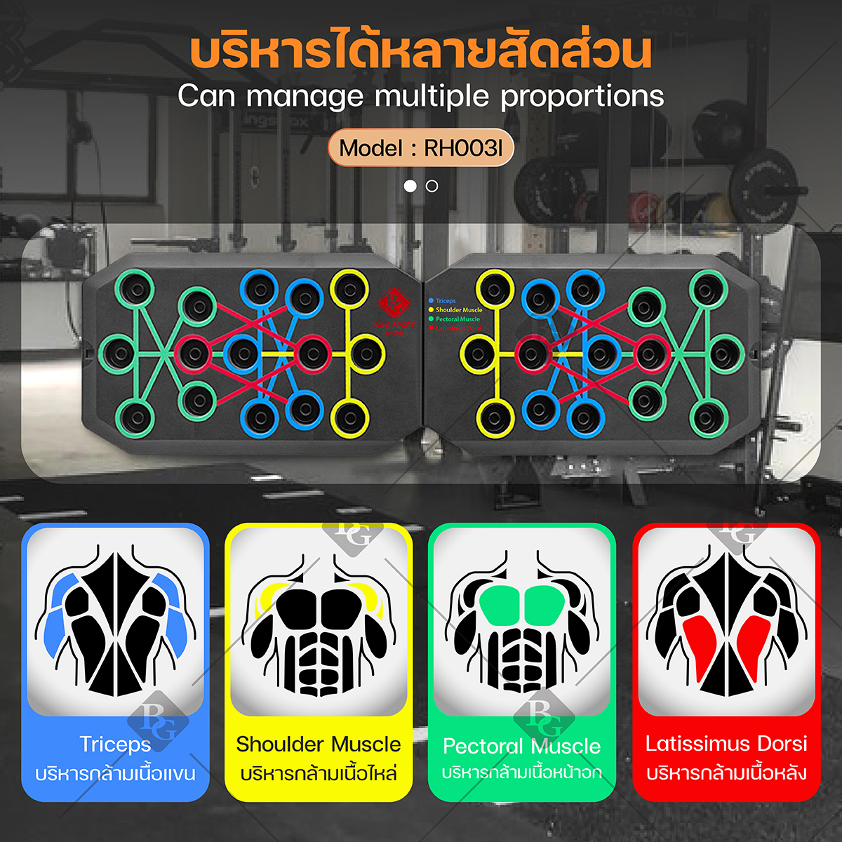 BG Push Up Board อุปกรณ์วิดพื้น รุ่น RH003(I) บอร์ดวิดพื้น 30 หลุม ...