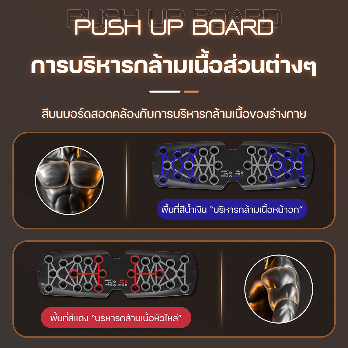 BG Push Up Board อุปกรณ์วิดพื้น รุ่น RH003 บอร์ดวิดพื้น 28 หลุม บอร์ด ...