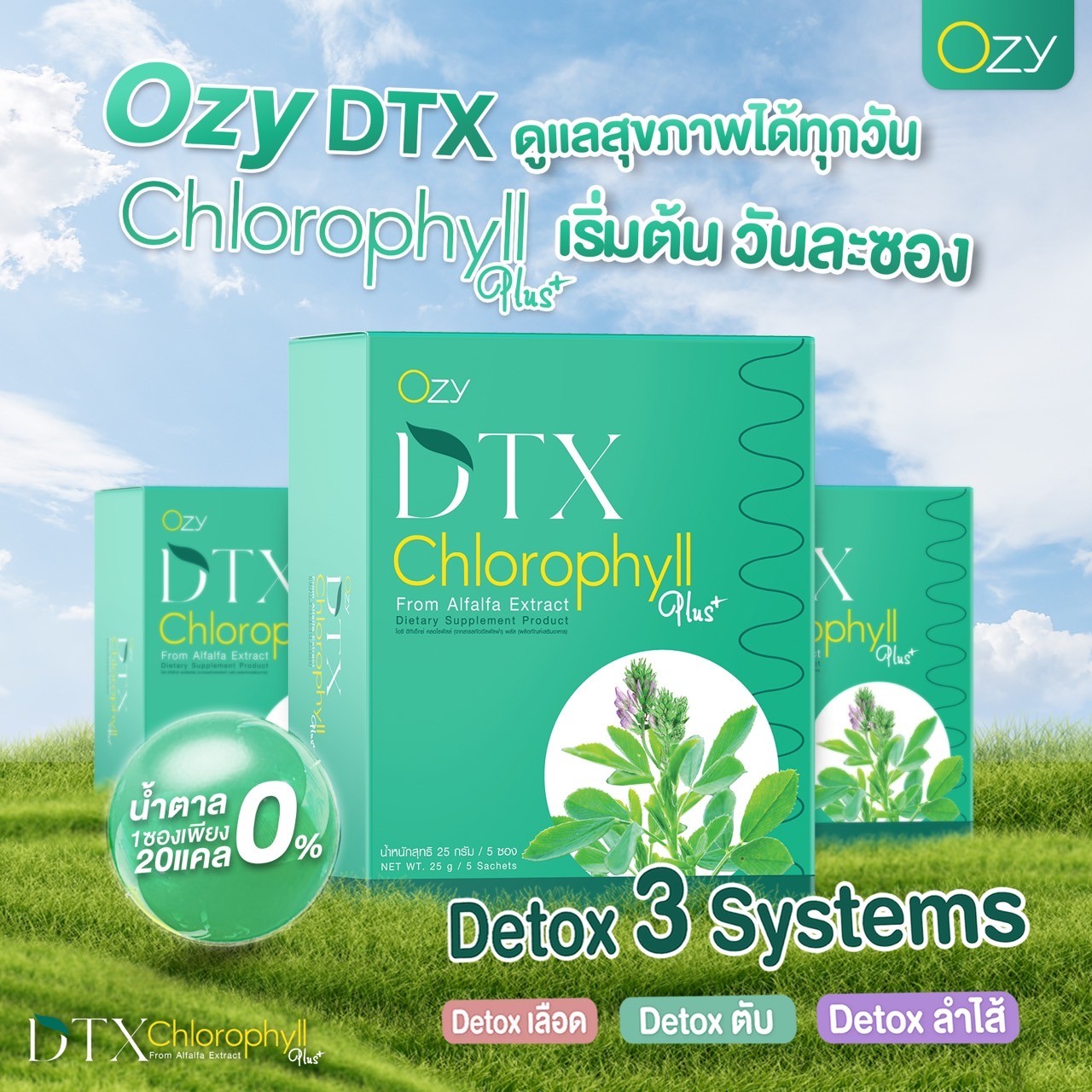 คลอโรฟิลล์ [ซื้อ 2 กล่อง แถมฟรีอีก 4 กล่อง] DTX Chlorophyll Plus สร้าง ...