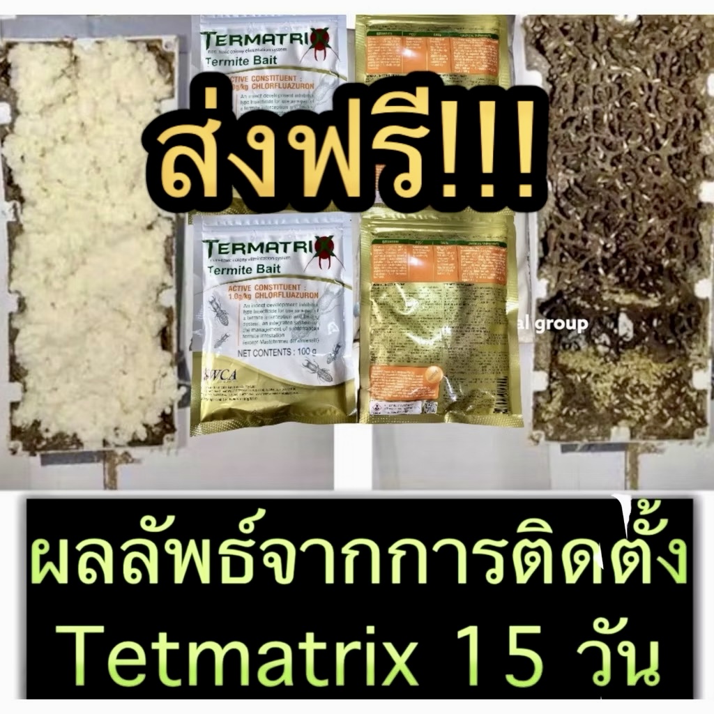 เหยื่อปลวก ยกลังราคาส่ง Termatrix กำจัดปลวกยกรัง อาหารปลวกปลวกตายยกรัง เหยื่อกำจัดปลวกล็อตใหม่ ...