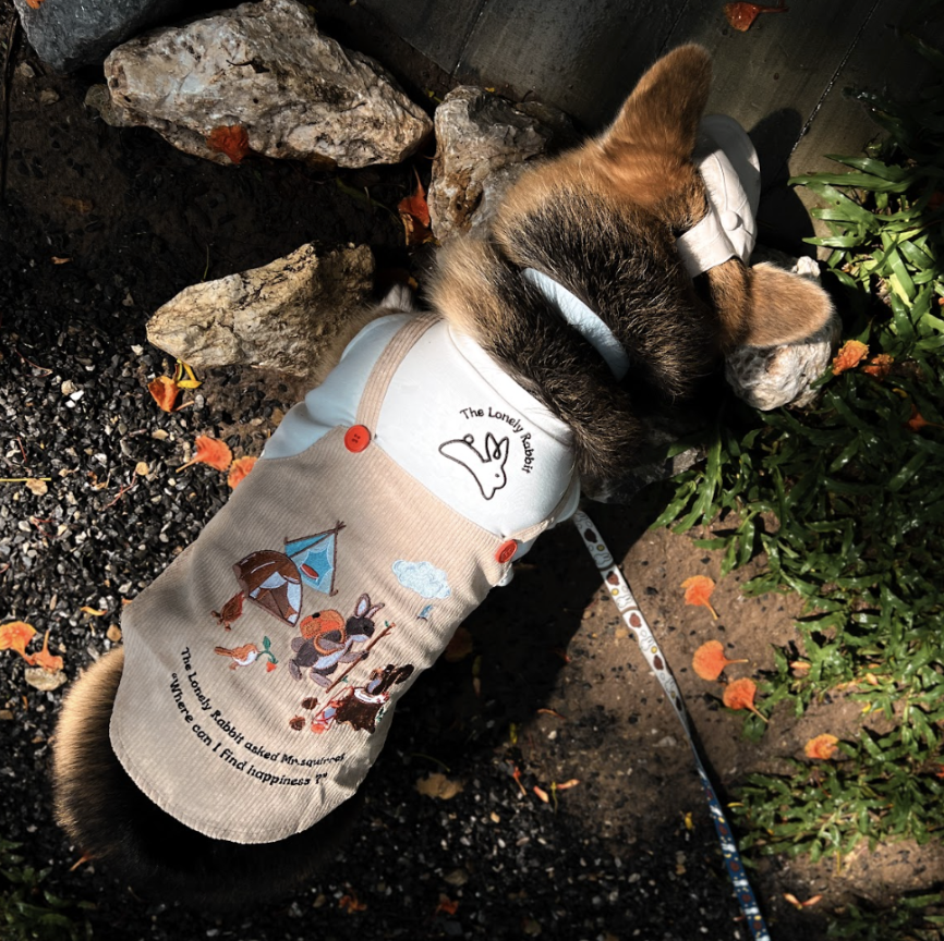 The Lonely Rabbit First Adventure ชุดเอี๊ยมสำหรับน้องหมา ชุดหมา ชุดแมว ...