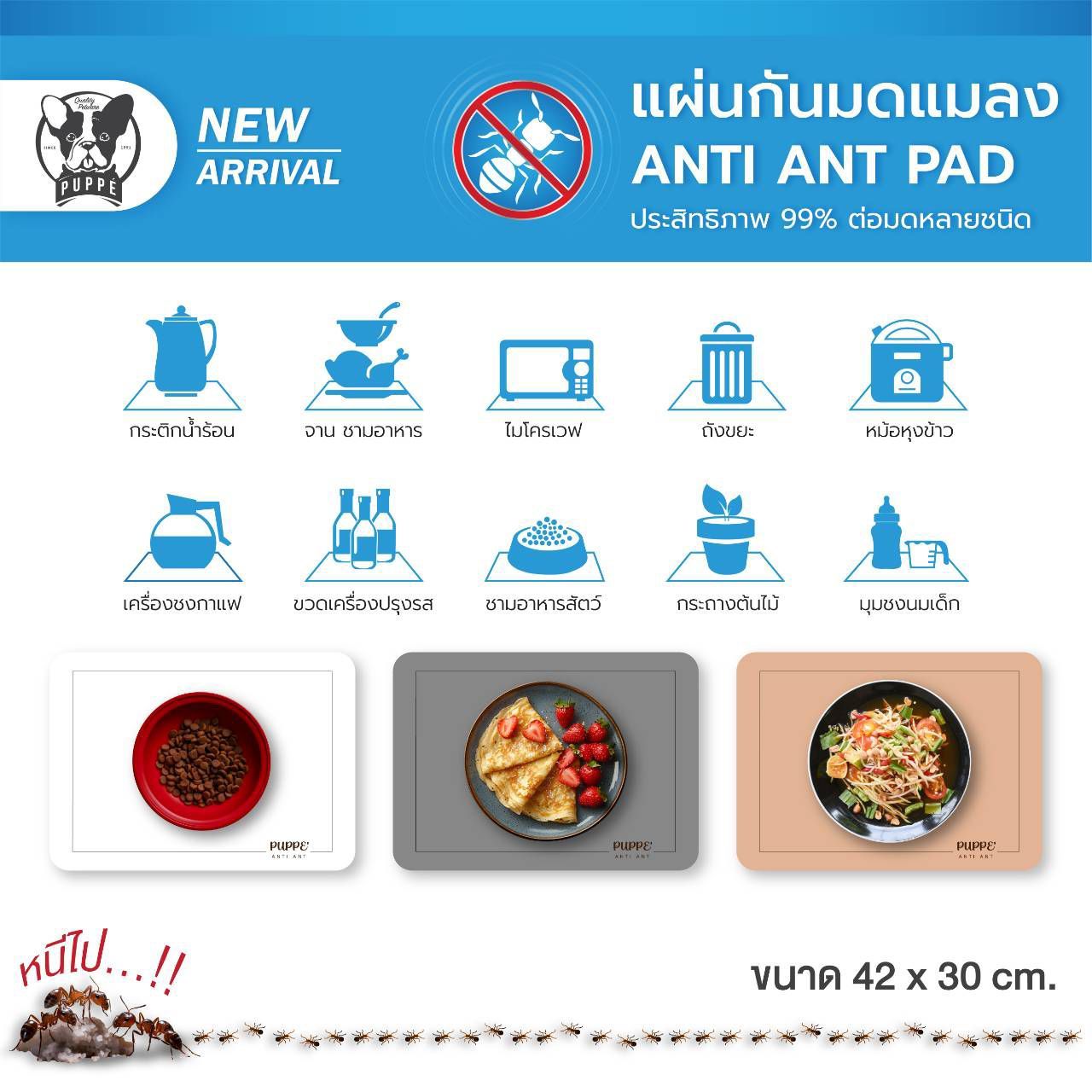 🔥🔥ไล่มด💯รุ่นใหม่ แผ่นกันมด แมลง (ของแท้) Anti-ant pad ขนาด 30x42cm มี ...