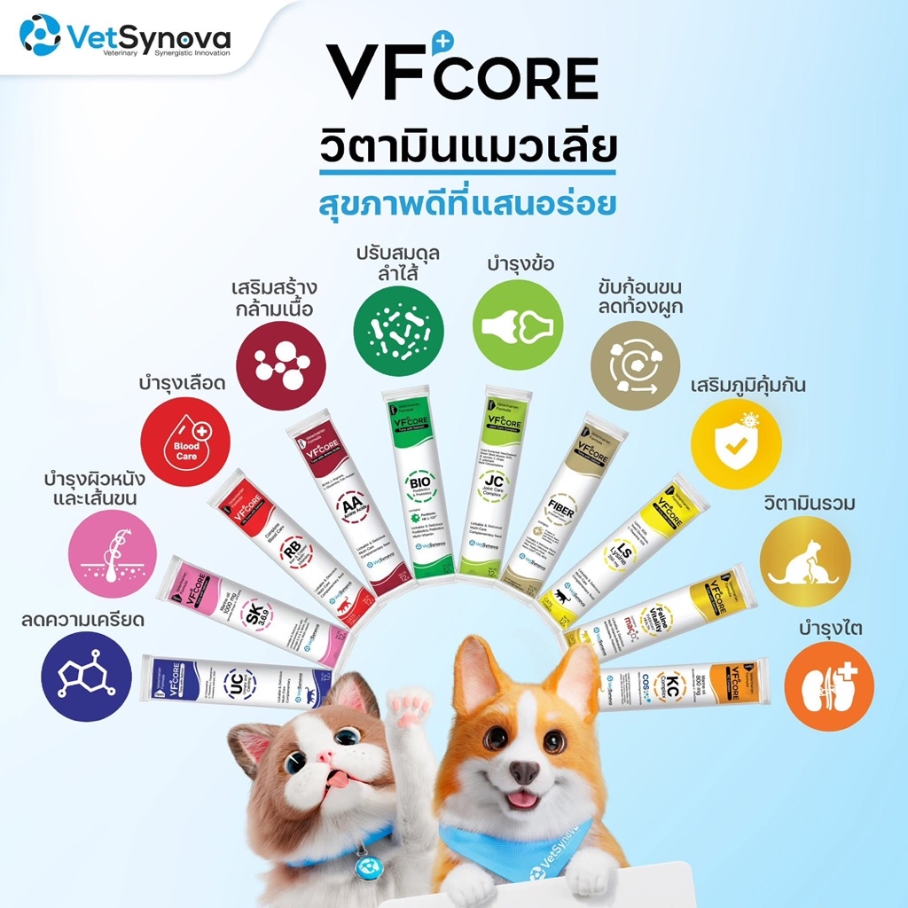 (10ซอง/30 ซอง)VFcore ขนมแมวเลียเพื่อสุขภาพ ขนาด 12 g | Shopee Thailand