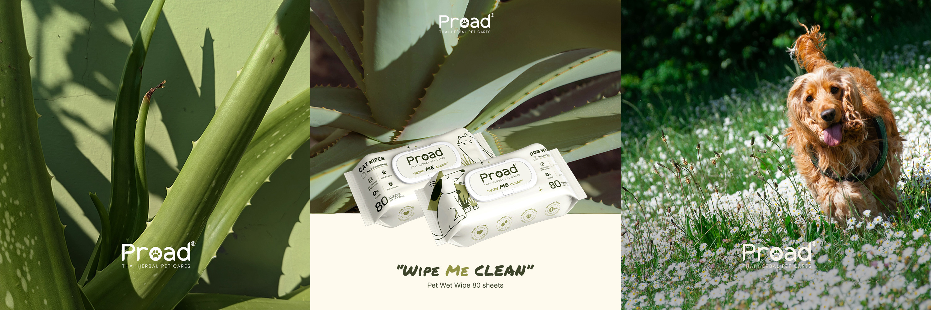 !! 1 FREE 1 !! PROAD Wipe ME Clean | Pet Wet Tissue | ผ้าเปียก ทิชชู่ ...