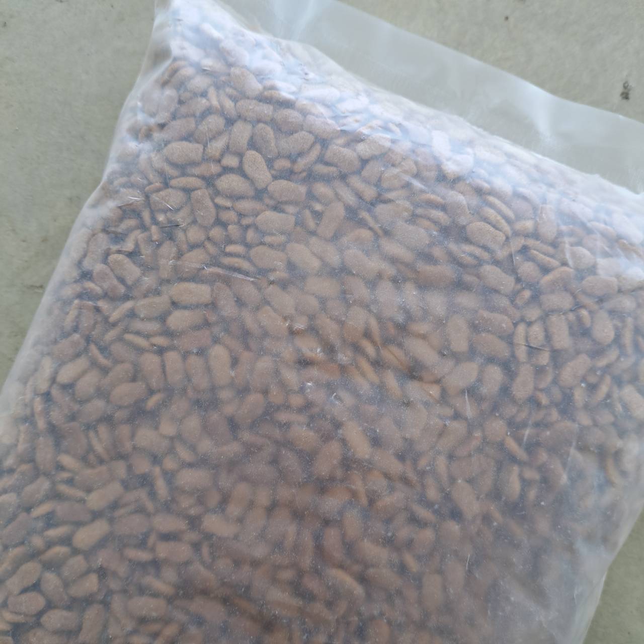 Catty Pro แคทตี้ โปร 1kg. รสปลาทู อาหารแมวโต 1 ปีขึ้นไป ช่วยบำรุงกระดูก ...