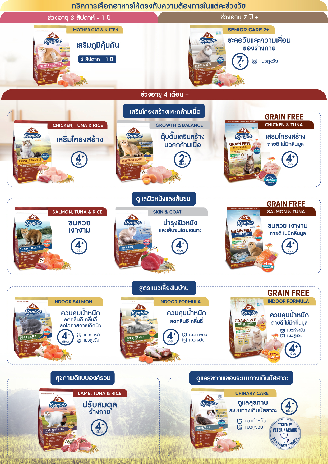 KANIVA x BUS PAWFECT CAT BOX SET อาหารแมว ขนาด 340-400 g. มีให้เลือก ...