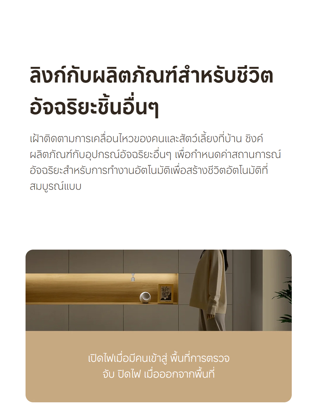 Mi Motion Sensor 2S | ความไวสูง | การตรวจจับความสว่าง | การทำงาน ...