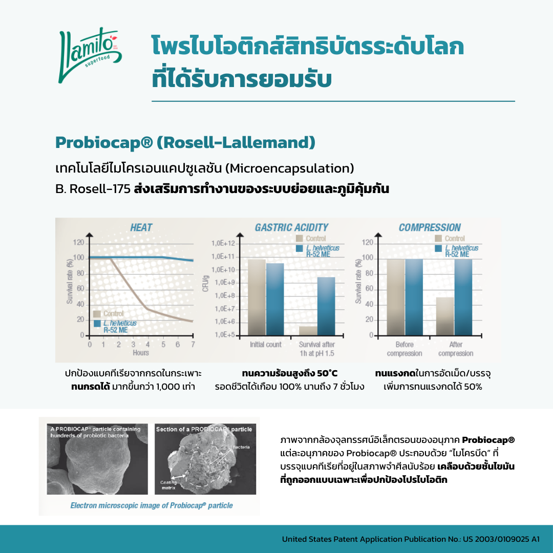 Llamito โพรไบโอติกส์ ป๊อป ตรา ยามิโตะ (ผลิตภัณฑ์เสริมอาหาร) Probiotics ...