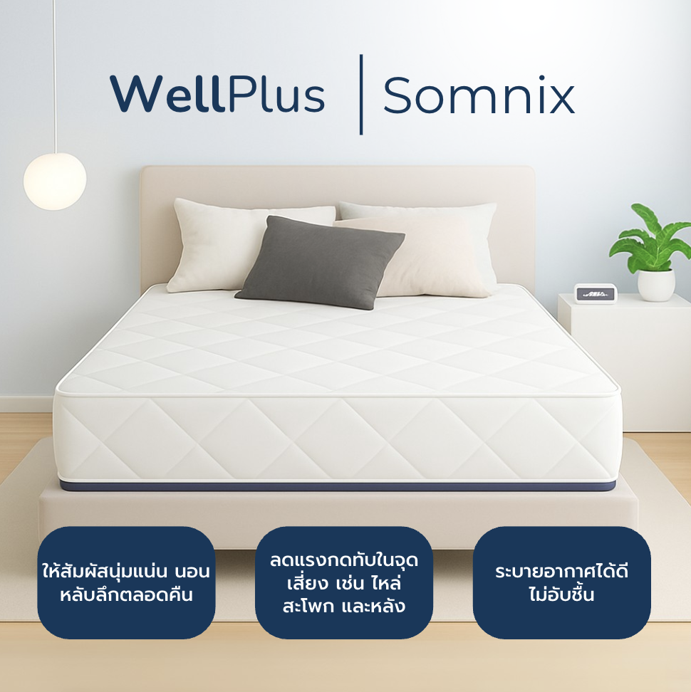 WellPlus ที่นอนยางพาราแท้เสริมสปริงพรีเมียม รุ่น Somnix หนา 10 นิ้ว ...
