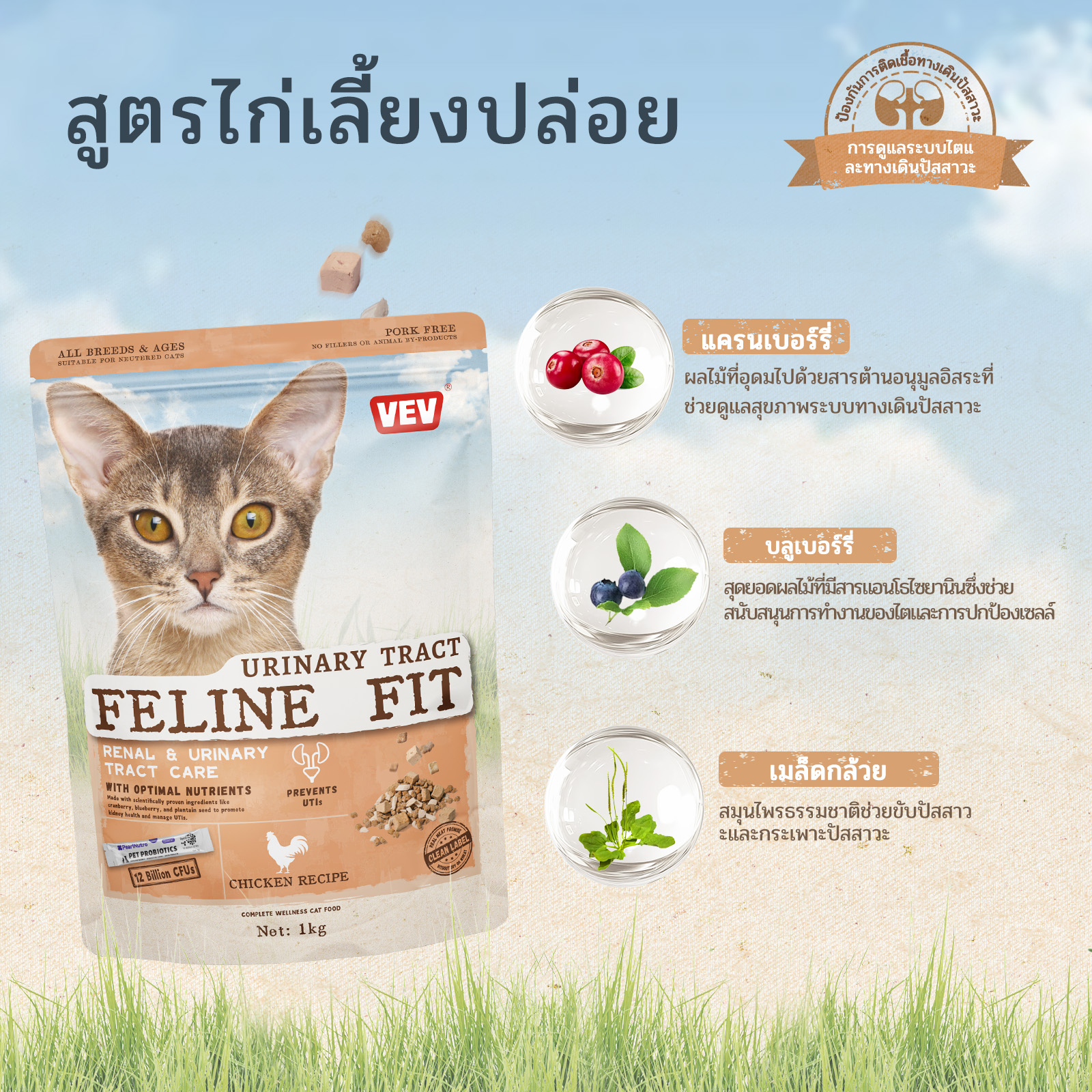 【🎁โปรไบโอติกฟรี】VEV 🐈 อาหารแมวบัซซ์ แบ่งขาย 1 kg. Premium Cat Food ...