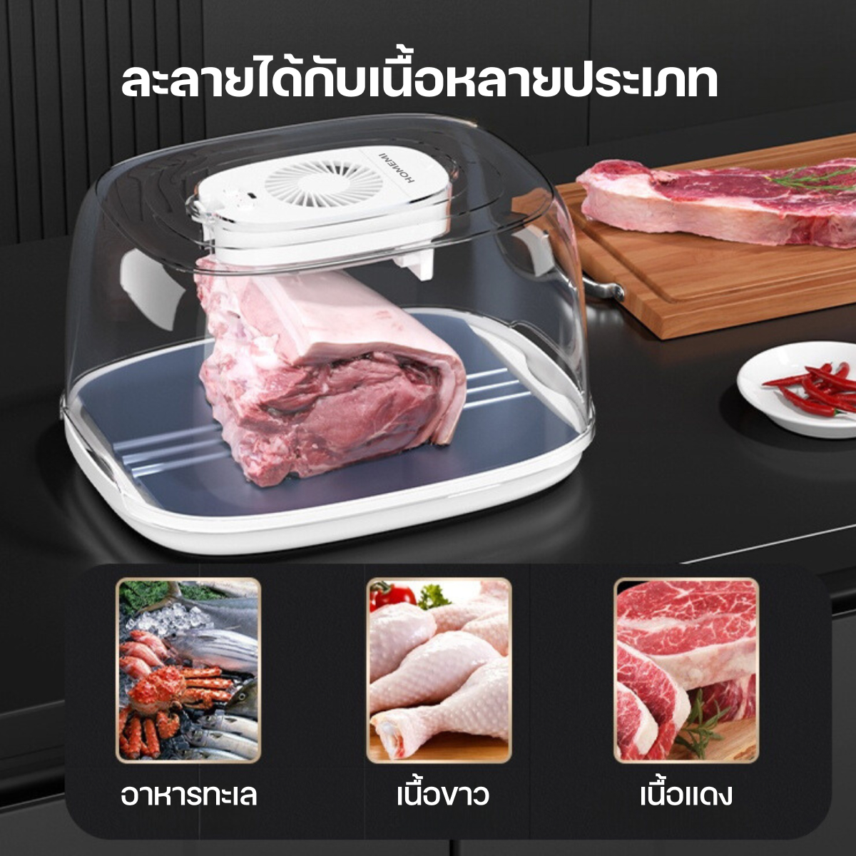 Homemi กล่องละลายเนื้อ Meat Thawing Box ละลายเนื้อไว เนื้อชุ่มฉ่ำขึ้น ...