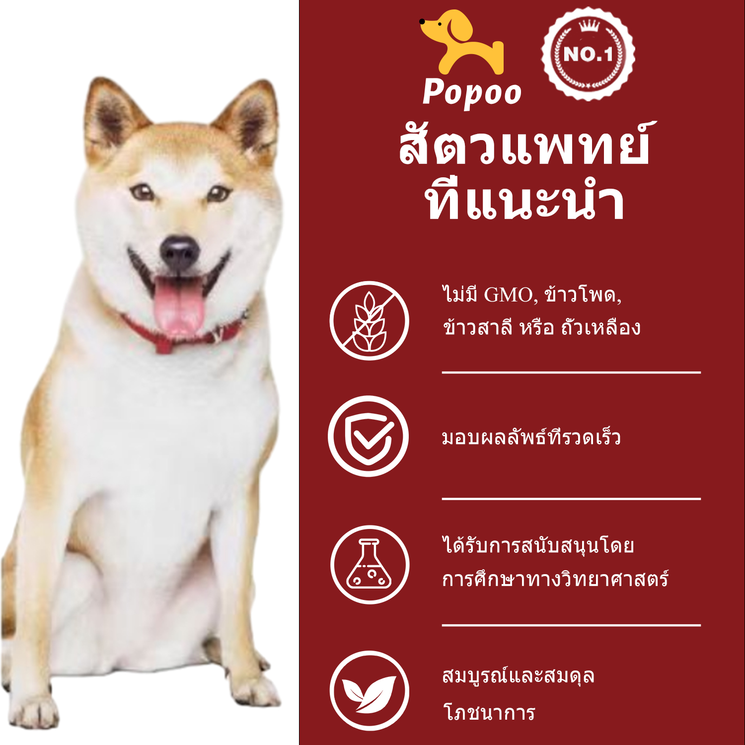 Popoo แพ็คสุดคุ้ม 2สูตร โปรไบโอติกสำหรับสุนัข และ Aller-Immune for Dogs ...