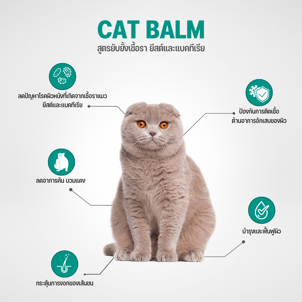 Goodboss Cat Balm บาล์มเเท่งสำหรับเเมว เชื้อรา ยีสต์ ลดอาการคัน ขนร่วง ...