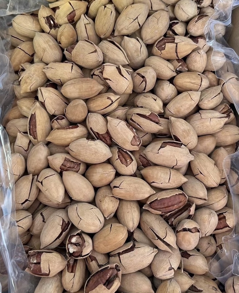 พร้อมส่ง‼️ถั่วพีแคนอบ (Pecan) อร่อยทานเพลินมีประโยช์น | Shopee Thailand