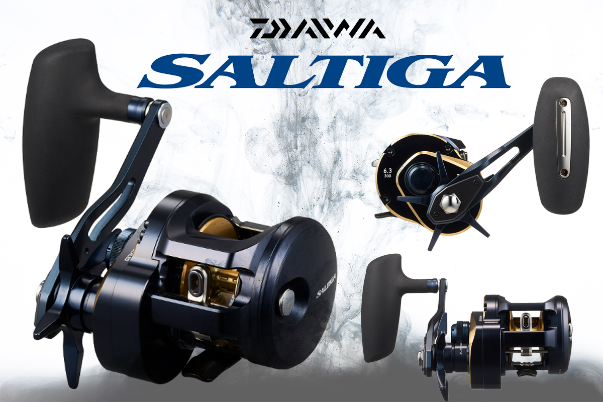 รอก DAIWA SALTIGA 300/300H | Shopee Thailand