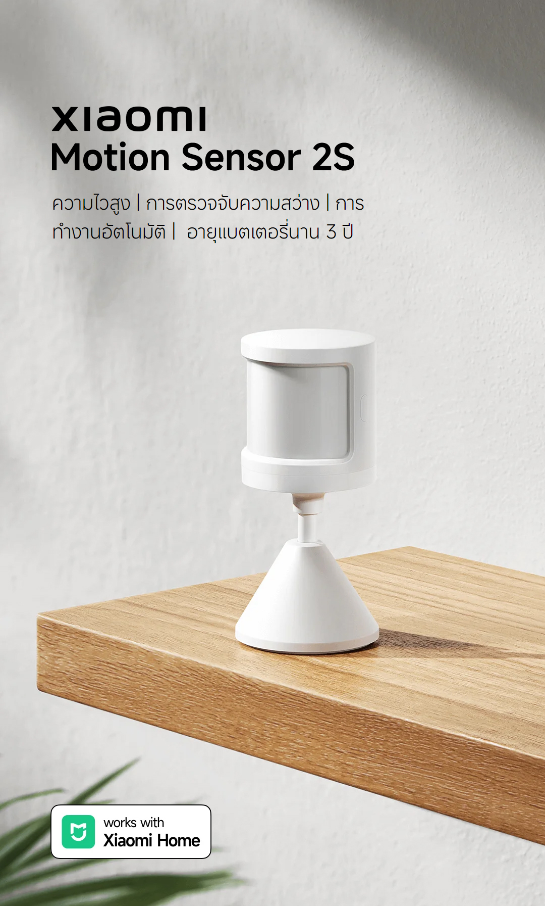 Mi Motion Sensor 2S | ความไวสูง | การตรวจจับความสว่าง | การทำงาน ...