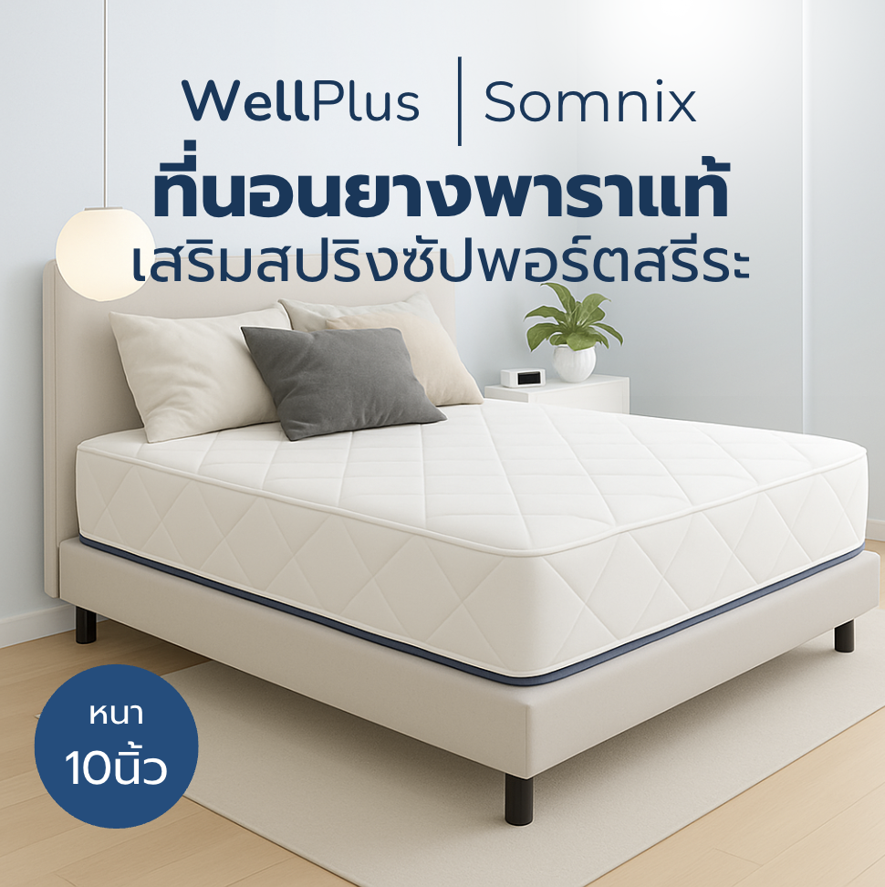 WellPlus ที่นอนยางพาราแท้เสริมสปริงพรีเมียม รุ่น Somnix หนา 10 นิ้ว โครงสร้างแข็งแรง นุ่มเด้งนอน ...