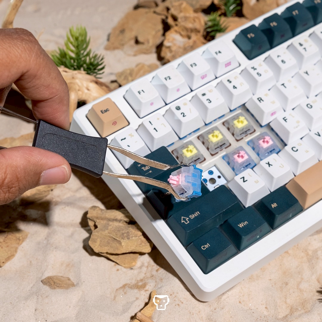 [รับประกันสินค้า 1 ปี] SARU คีย์บอร์ดเกมมิ่ง COLOR TFT KX-81 Jupiter จอ ...