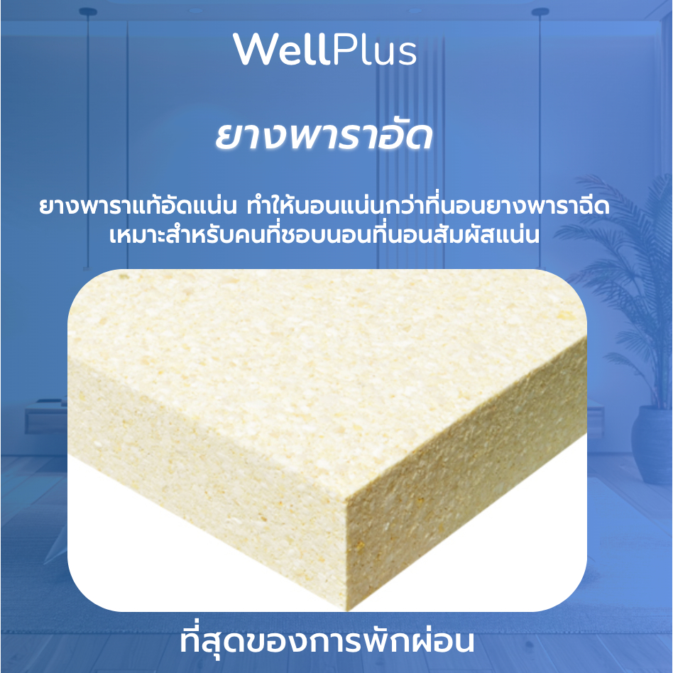 Wellplus ที่นอนยางพาราธรรมชาติ ระบายอากาศได้ดี รุ่น Tyler หนา 10 นิ้ว ลดอาการปวดหลัง บ่า ไหล่ ...