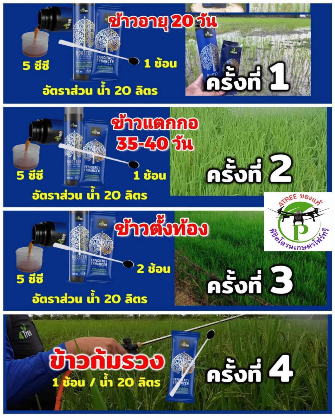 4Treeของแท้100% โฟร์ ทรี ชุด 1-5 ซองสารเสริมเพิ่มประสิทธิภาพพืช ช่วยเร่งราก โตเร็ว เขียวนานใช้ ...