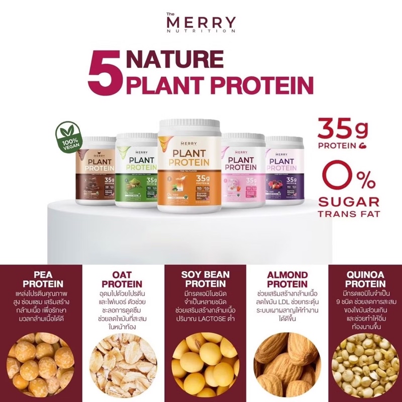 Merry Plant Protein โปรตีนพืช 6 รสชาติ 1 กระปุก 2.3lb. / 1,050g. [ 20 ...
