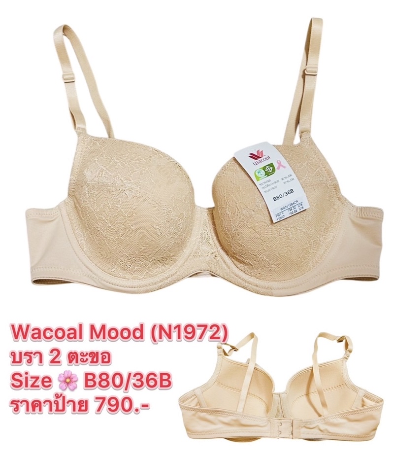 Wacoal วาโก้ เสื้อใน ชุดชั้นใน มีโครง ฟองบาง 2ตะขอ Size B80/36B | Shopee Thailand