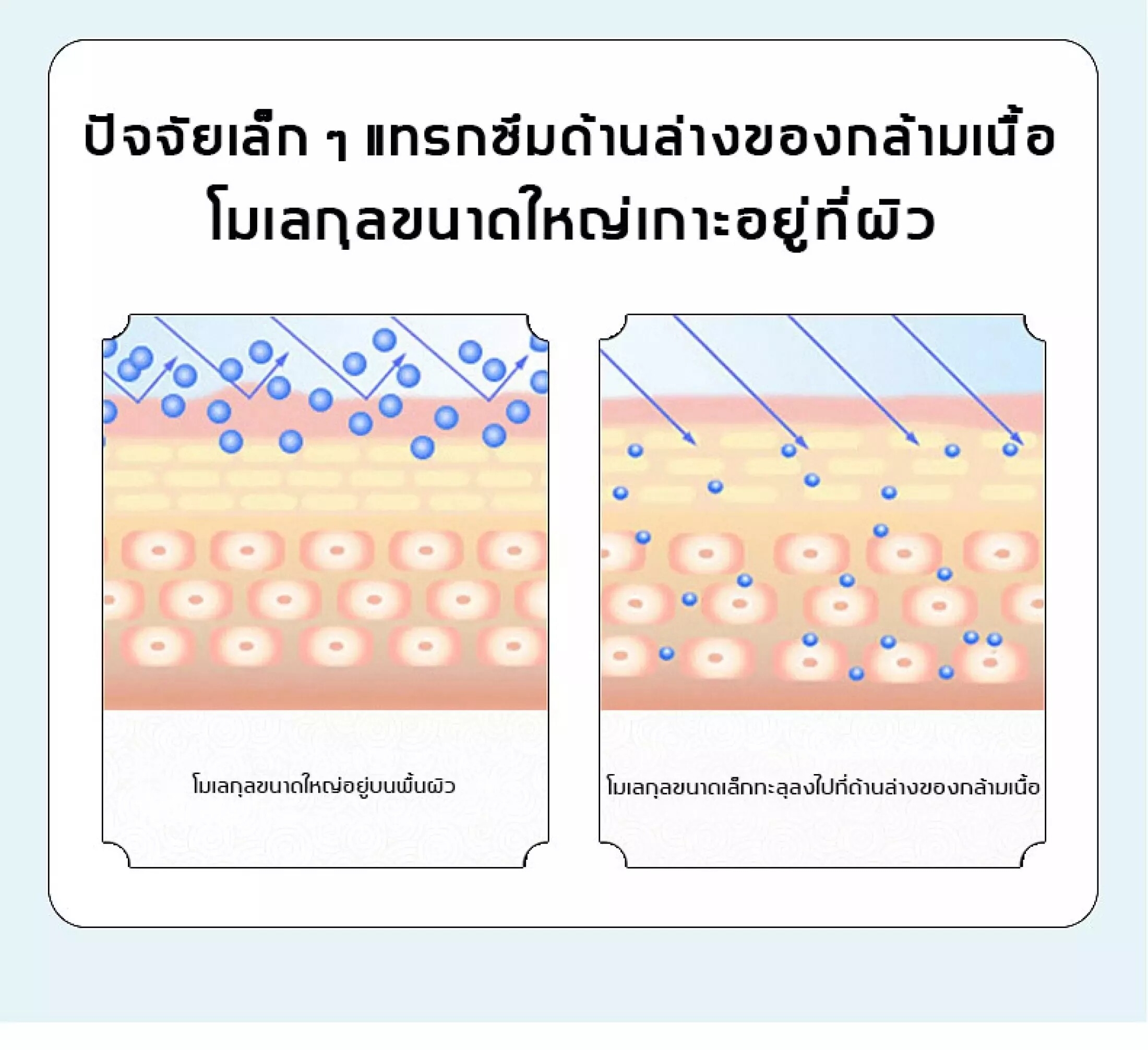 Kojic Acid ครีมคอลลาเจนไวท์เทนนิ่งไวท์เทนนิ่งสําหรับบํารุงรักแร้ใต้วง ...