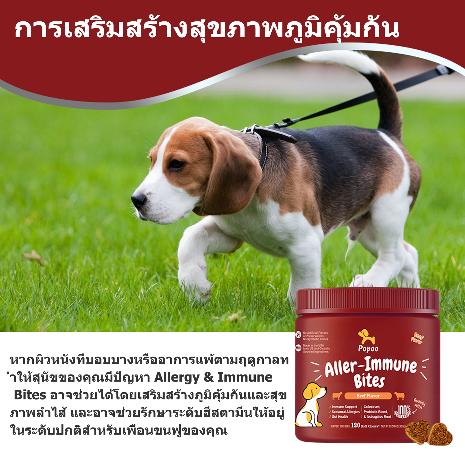 Popoo แพ็คสุดคุ้ม 2สูตร โปรไบโอติกสำหรับสุนัข และ Aller-Immune for Dogs ...