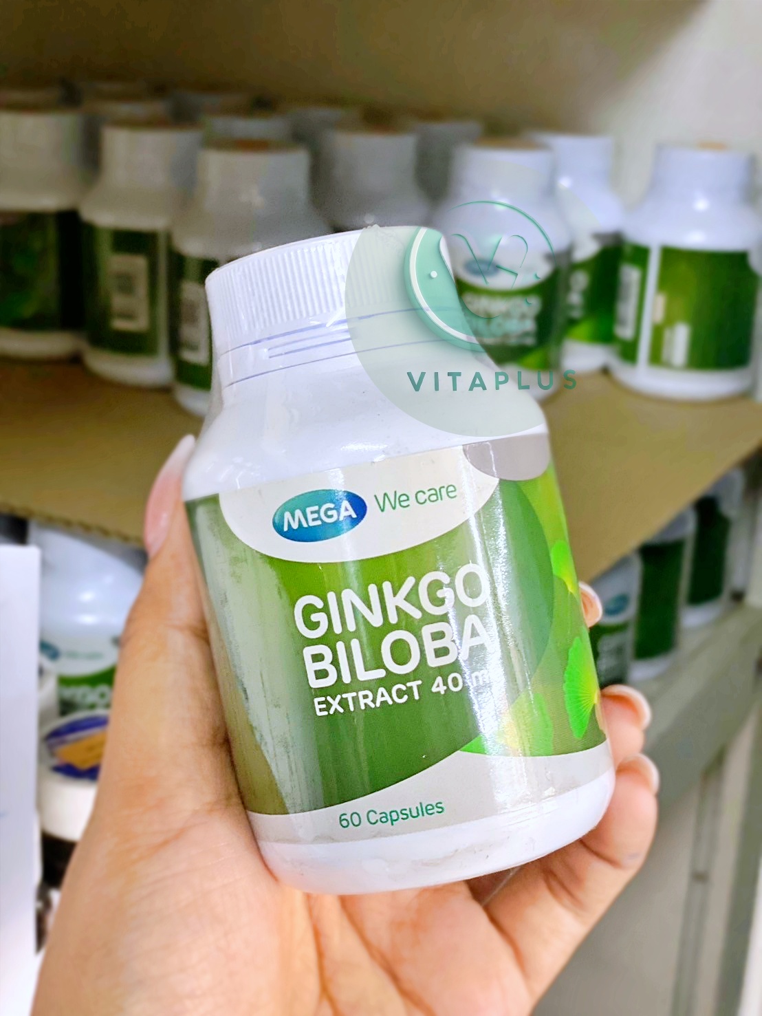 MEGA Ginkgo Biloba extract 40mg สารสกัดจากใบแปะก๊วย 60แคปซูล | Shopee ...